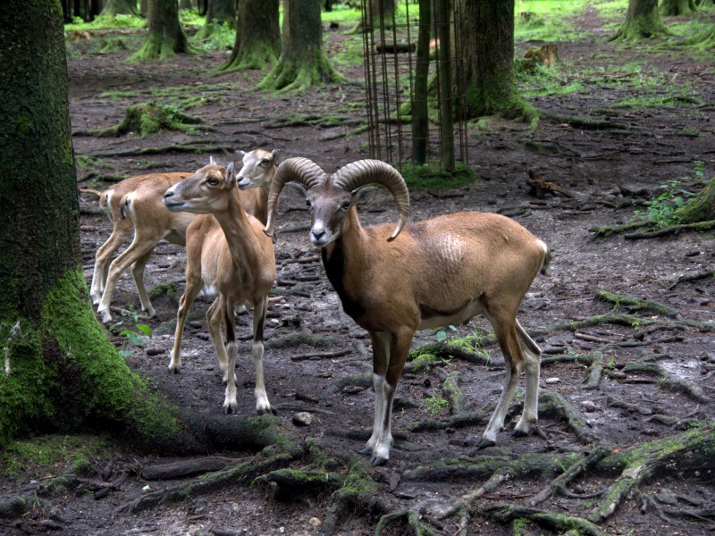 13-P1040845 | Wahlheimat.Ruhr