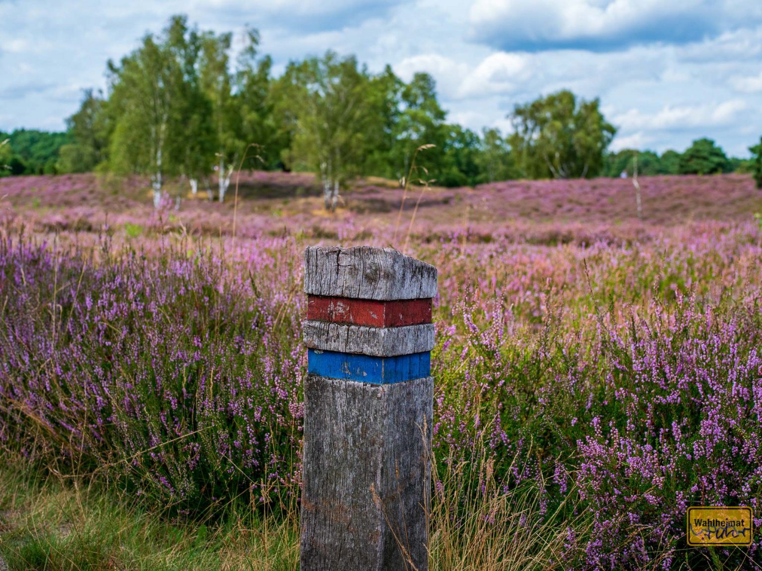 Westruper Heide Parkplatz